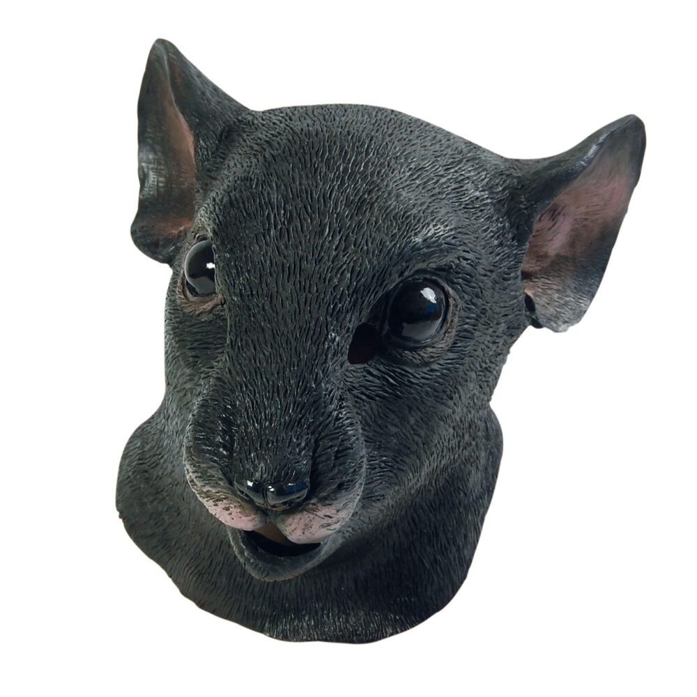 Rat Mask – Fancy That Fancy Dress